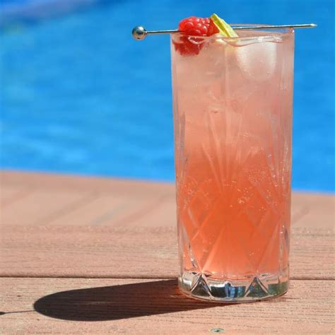 Floradora Gin Cocktail Recipe Hillmartin Gin Distillery