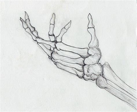 Skeleton Hand Drawing Holding