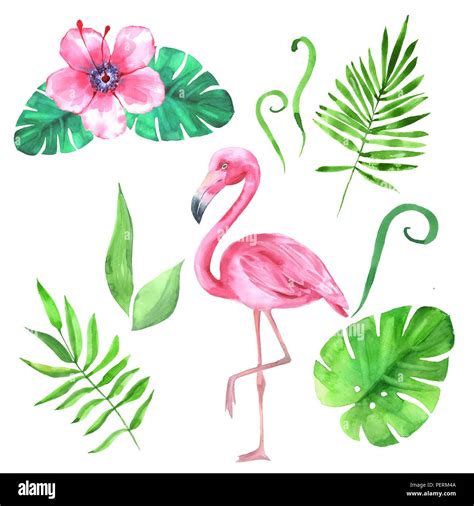 Watercolor Set With Tropical Leaves And Flamingo Stock Photo Alamy