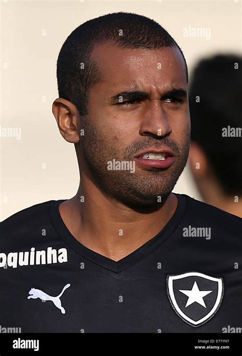 Brazilian Football League Serie A Botafogo De Futebol E Regatas