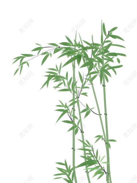 绿色手绘卡通竹子竹叶竹竿春分春天春季元素PNG素材免费下载 觅知网