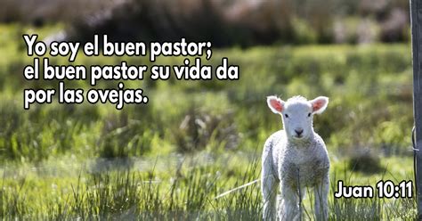 Yo Soy El Buen Pastor El Buen Pastor Su Vida Da Por Las Ovejas Monjas