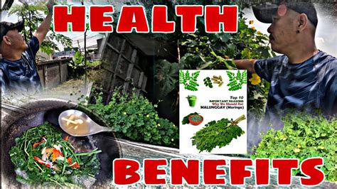 MASUSTANSYANG ULAM GRABE ANG HEALTH BENEFITS NANG MGA LIBRENG GULAY