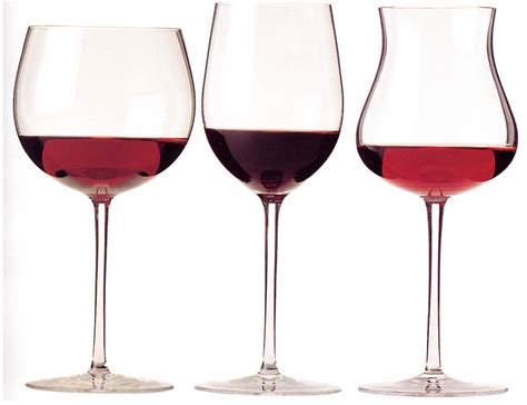 Ad Ogni Vino Il Suo Bicchiere Guida Veloce Per Il Brindisi Perfetto