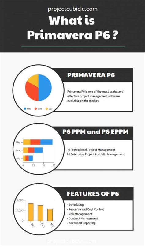 Primavera P6 What Is Primavera P6 And How To Learn