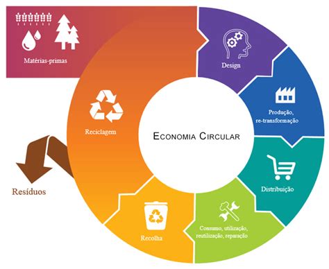 Você sabe o que é economia circular PET Engenharia Sanitária e Ambiental