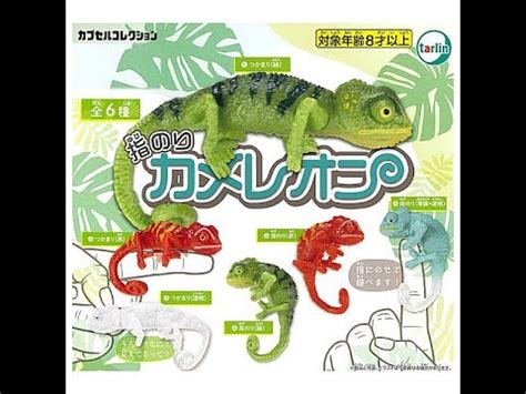 Gacha Unboxing Yubinori Chameleon Capsule Toy Discover The