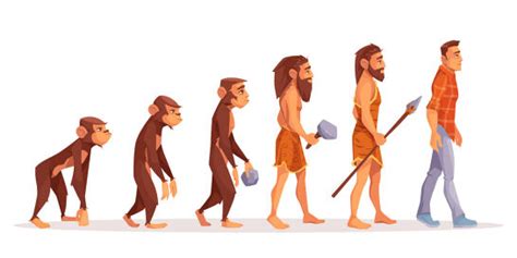 L Volution De La Vie Sur Terre Digischool