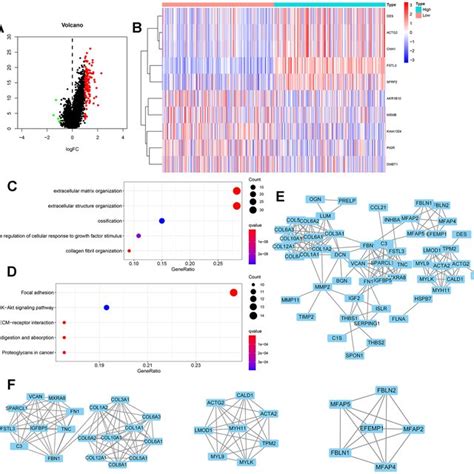 Differential Gene Expression And Functional Enrichment During FSTL3