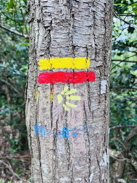 Gaëlle Bouché est partie sur les routes du Tro Breizh Cest un
