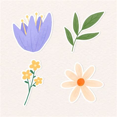 Conjunto De Pegatinas Florales Coloridos Vector Vector Premium