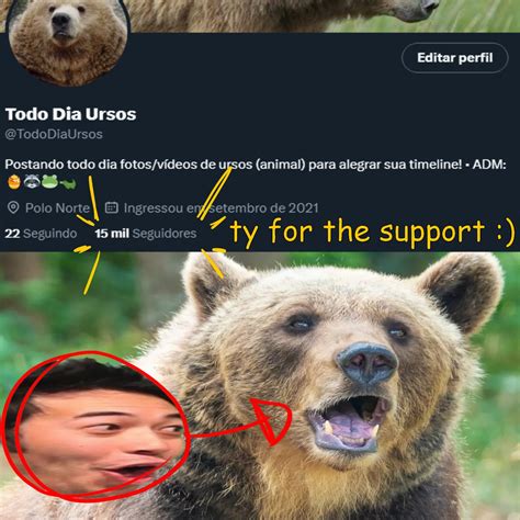 Todo Dia Ursos On Twitter Obrigado A Todos Os Novos Seguidores E Os