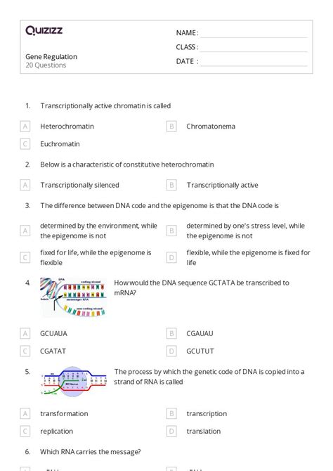 50 Gene Regulation Worksheets For 12th Class On Quizizz Free Printable