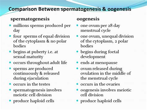 Spermatogenesis And Oogenesis Differences