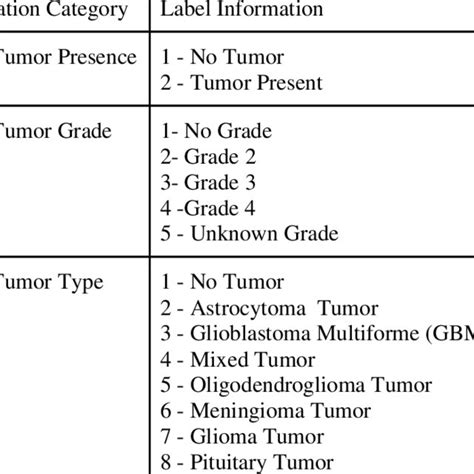 architecture of multitask classification brain tumor classification module download