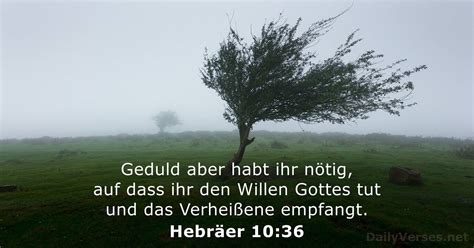 September Bibelvers Des Tages Hebr Er Dailyverses Net