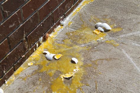 Physics Egg Drop Video PattonvilleTODAY