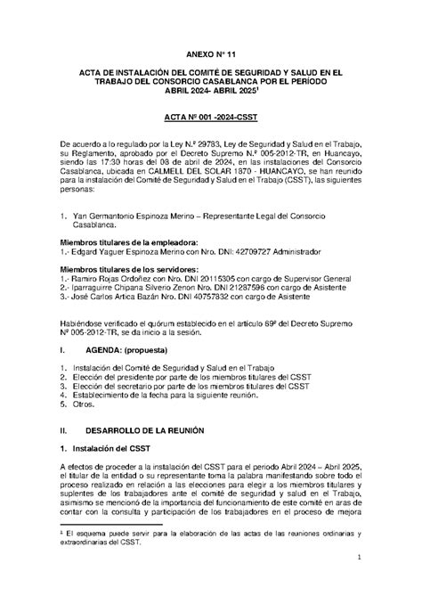 Anexo Nº 11 Modelo de Acta de Instalación del CSST 1 ANEXO N 11