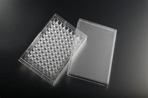Poly D Lysine Coated 96 Well Plates Biomat Tissue Culture Plates