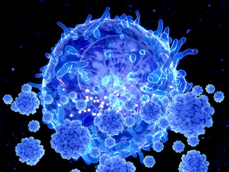 Vaccine Induced T Cells Provide Long Lasting Immune Response To COVID
