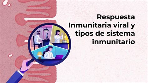 Respuesta Inmunitaria Viral Y Tipos De Sistema Inmunitario Medicina