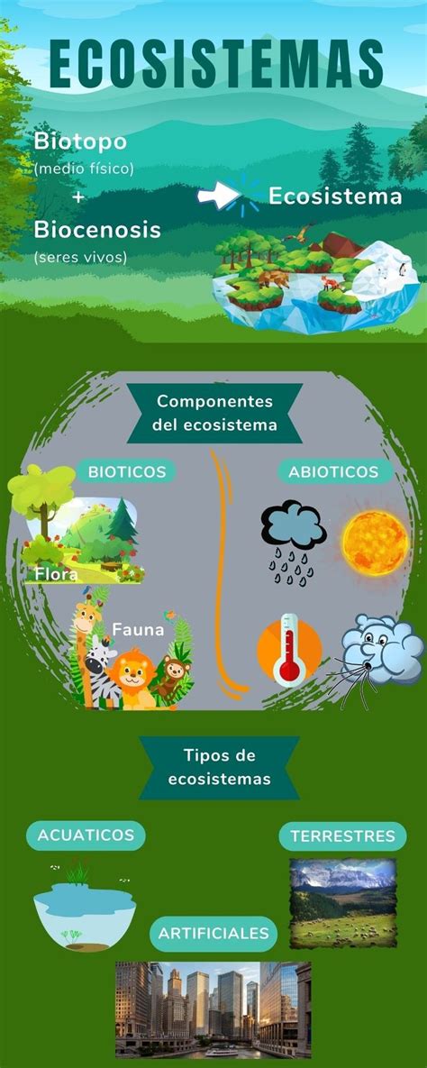 Infografía general sobre los ecosistemas Tipos de ecosistemas