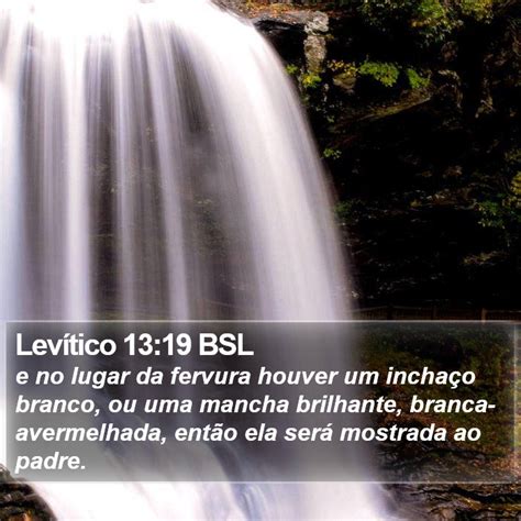 Levítico 13 19 BSL e no lugar da fervura houver um inchaço branco
