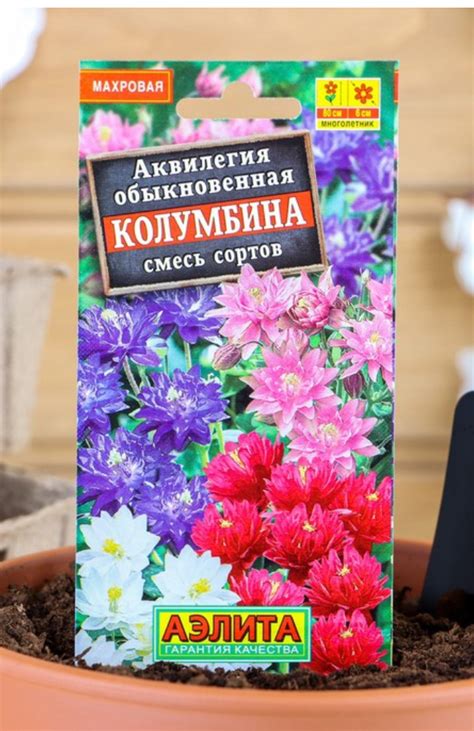Аквилегия обыкновенная КОЛУМБИАНА смесь сортов МАХРОВАЯ АЭЛИТА отзывы