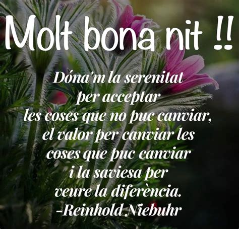 Bona Nit Saludos De Buenas Noches Mejores Frases De Buenas Noches