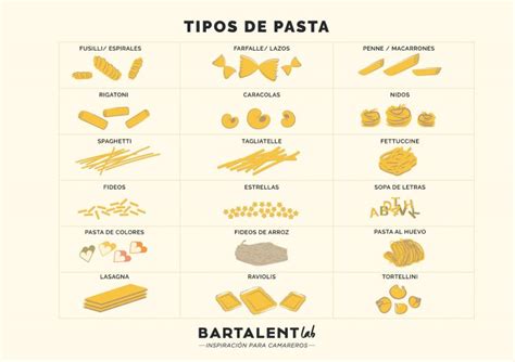 Tipos De Pasta 18 Variedades Fundamentales Bartalent Lab