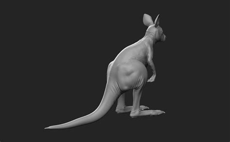 Kangaroo Baby Topology UV Map FlippedNormals