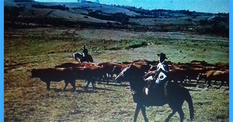 Professor Joaquim Dias Cena rural em Capão do Leão em 1972