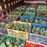 MPA Movimento Dos Pequenos Agricultores