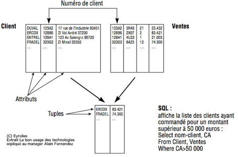 base de données relationnelle