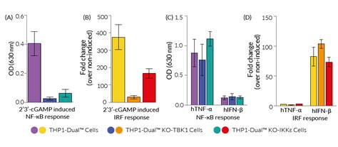 THP1 Dual KO IKKε cells NF κB IFN reporter monocytes InvivoGen