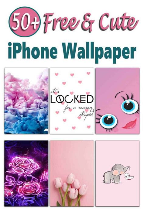 50 Cute IPhone Wallpaper Backgrounds In HD Quality