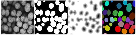 distance transform watershed imagej