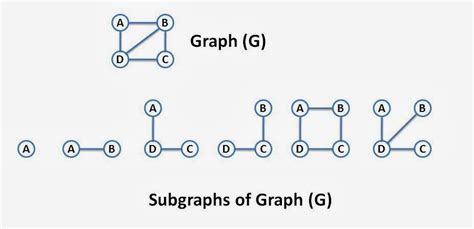 graphs introduction and terminology the crazy programmer