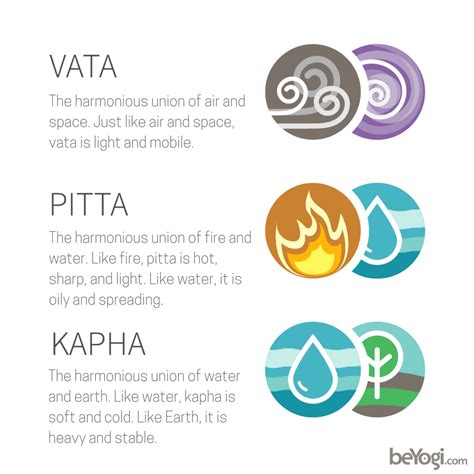 Ayurveda Vector Illustration Doshas Vata Pitta Kapha Ayurvedic Body