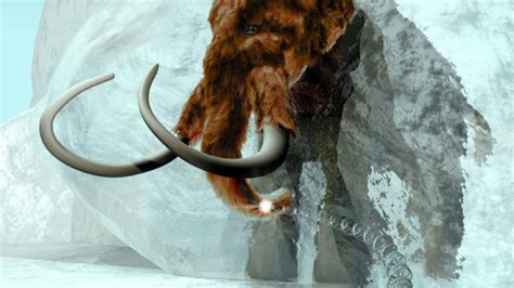 Forscher Entnehmen Mammut Möglicherweise Lebende Zellen Zum Klonen Der Spiegel