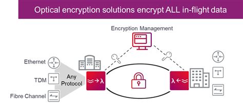 what is optical encryption ciena