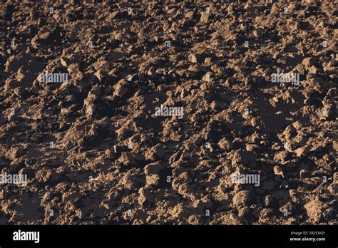 Realistic Illustration Of Soil Texture Background Fertile Soil