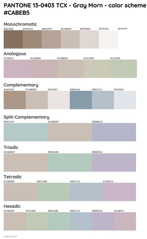 PANTONE 13 0403 TCX Gray Morn Color Palettes And Color Scheme