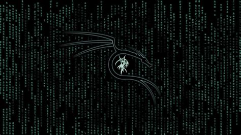 X Resolution Kali Linux Matrix K Wallpaper Wallpapers Den