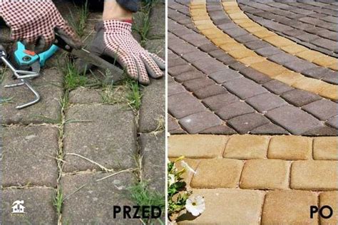 Jak Skutecznie Usun Chwasty Z Kostki Brukowej Poradnik