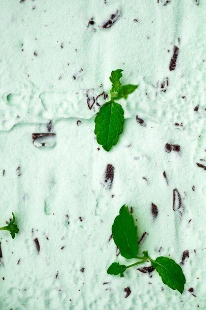 Helado De Menta Con Chips De Chocolate Foto Premium