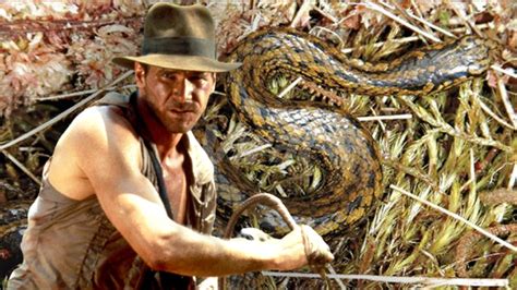 En Perú encuentran nueva especie de serpiente y la bautizan Harrison Ford