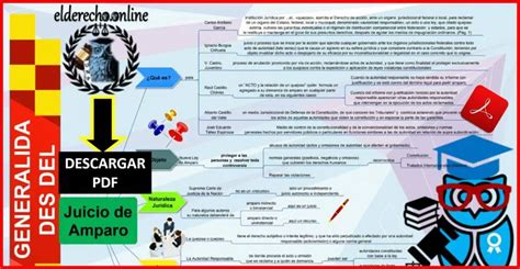 Mapa Conceptual Generalidades Del Juicio De Amparo