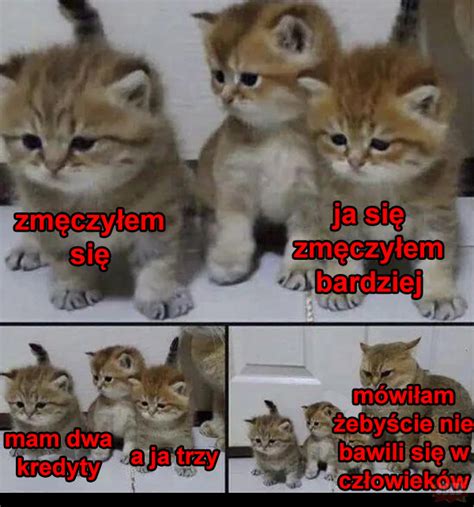Bo Ludzkiej Mordy Dostaniesz