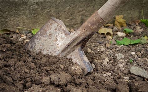 Cómo hacer que la tierra drene 10 formas efectivas de lograr que tu